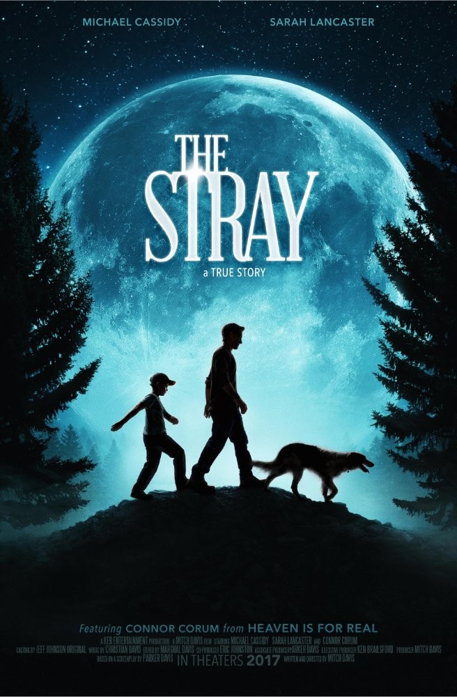 The Stray (2017) image