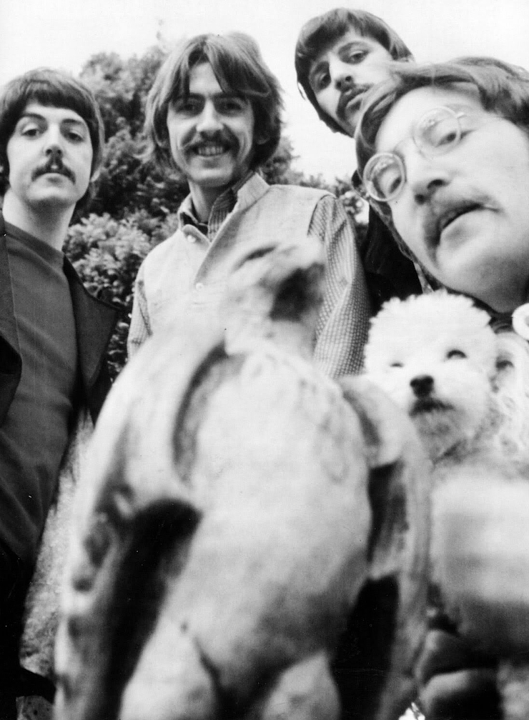 Picture of The Beatles