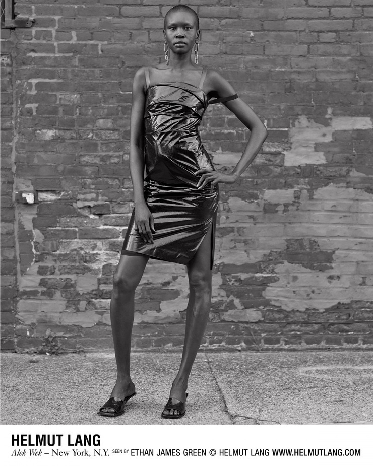 Picture of Alek Wek