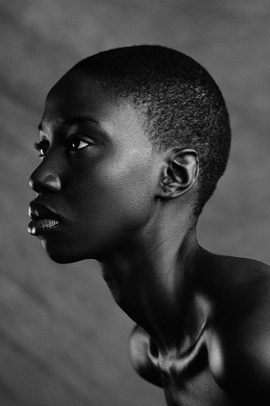 Giannina Oteto image