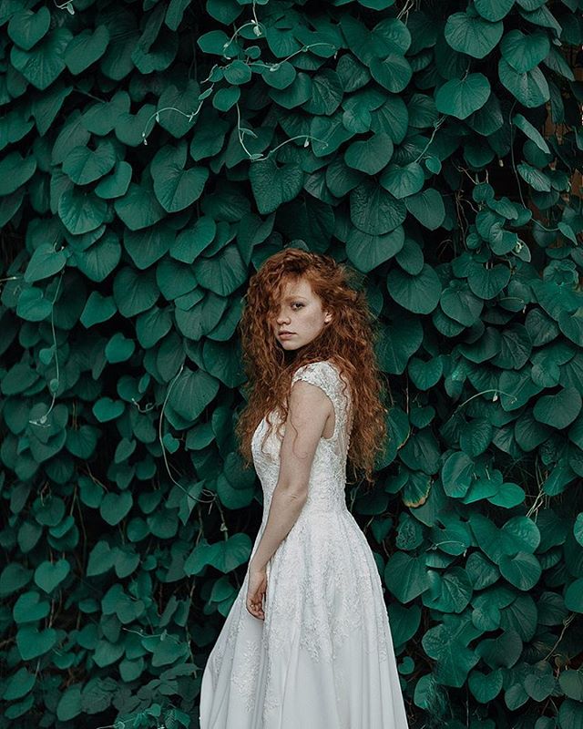 Picture of Ginger Locke