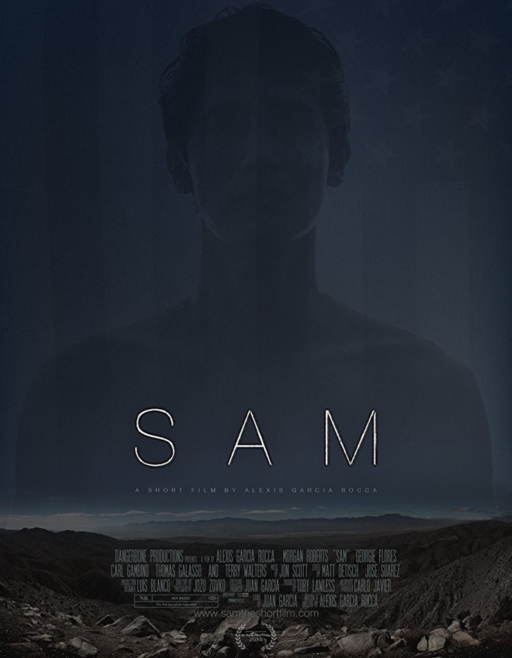 Picture of Sam (2013)