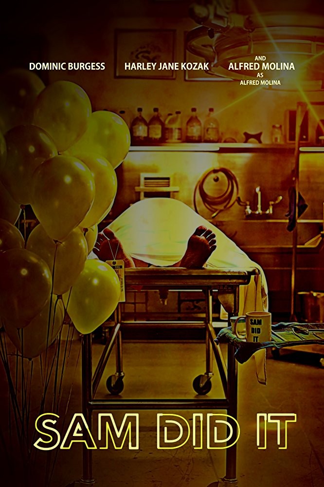 Picture of Sam Did It