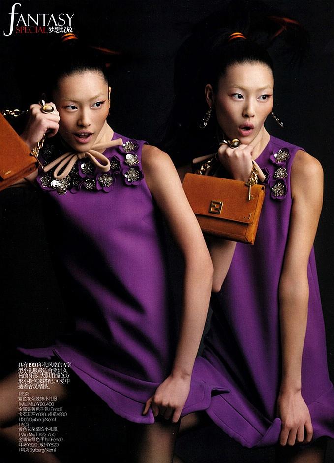 Picture of Liu Wen