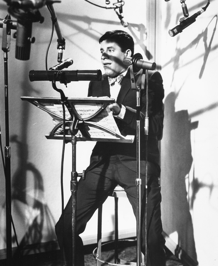 Picture of The Patsy