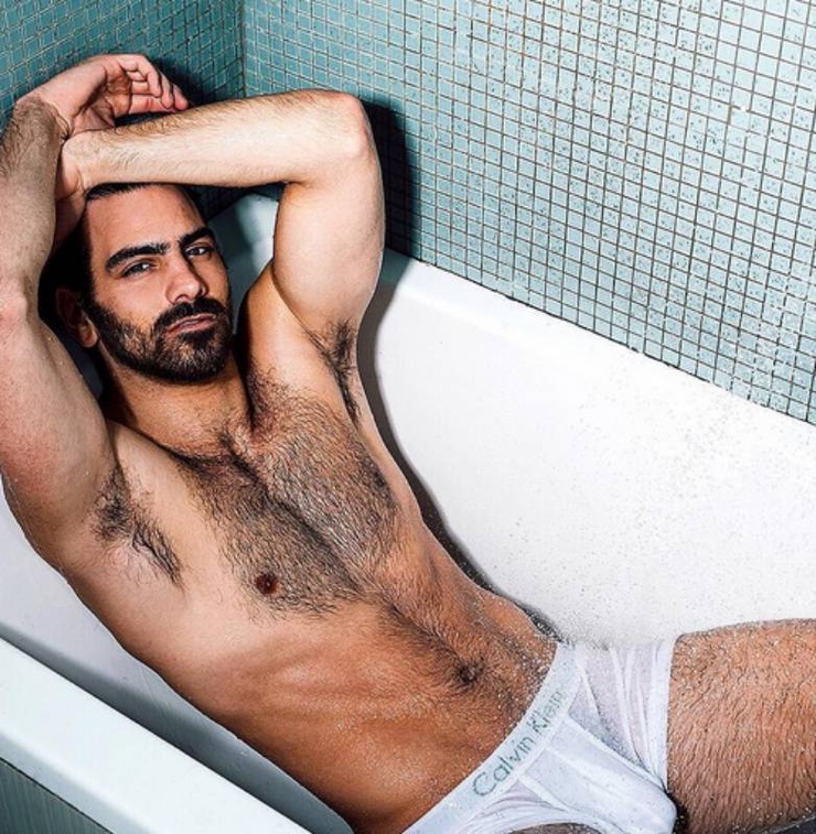 Picture of Nyle DiMarco