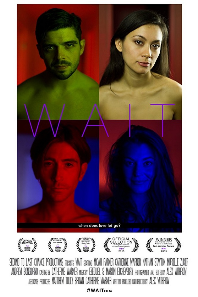 Picture of Wait (2015)
