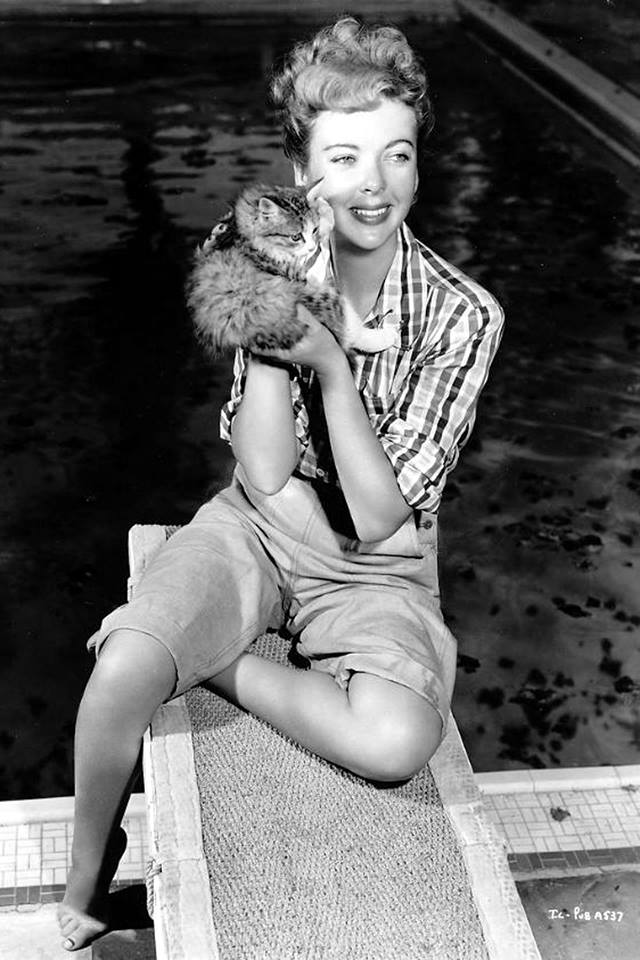 Picture of Ida Lupino