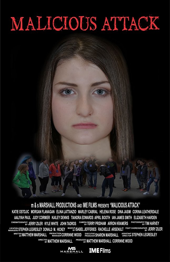 Malicious Attack (2020) image