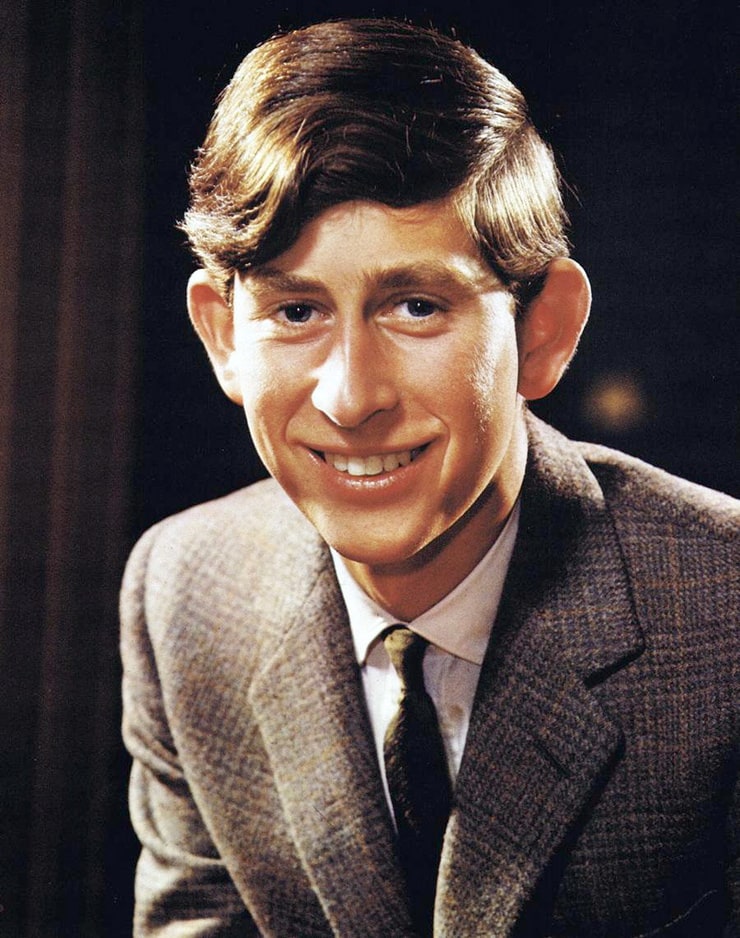 Prince Charles picture