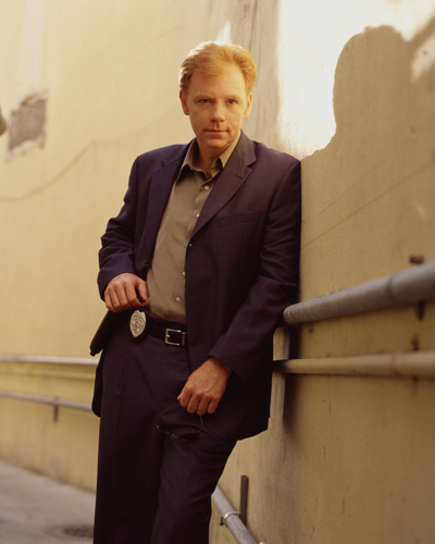 Picture of Horatio Caine