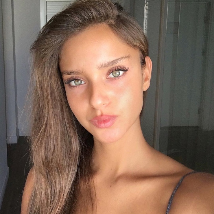 Neta Alchamister image