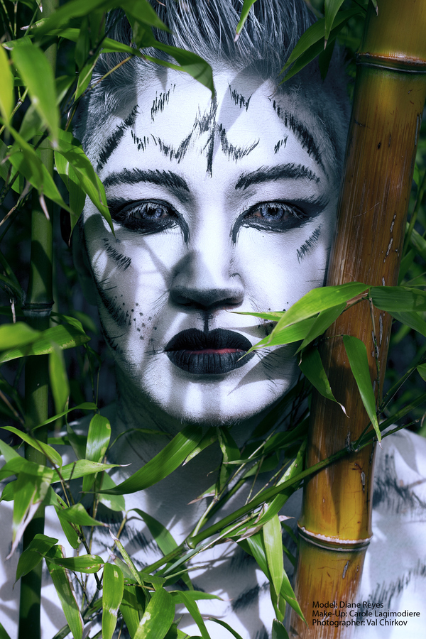 Picture of Romeo Reyes