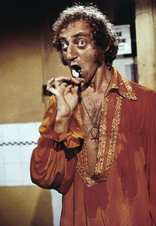 Picture of Marty Feldman