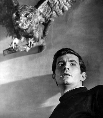 Picture of Psycho