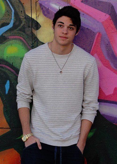 Noah Centineo picture