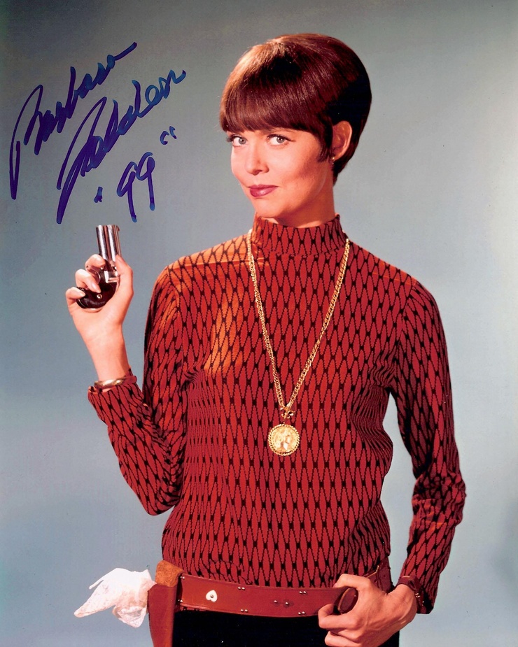 Picture of Barbara Feldon