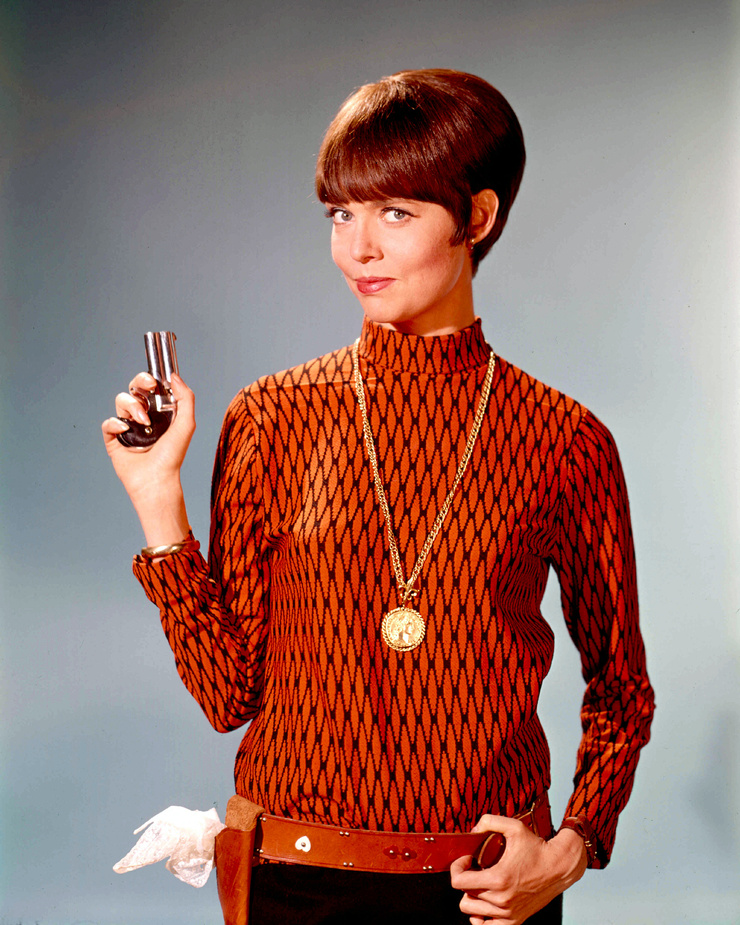 Barbara Feldon image