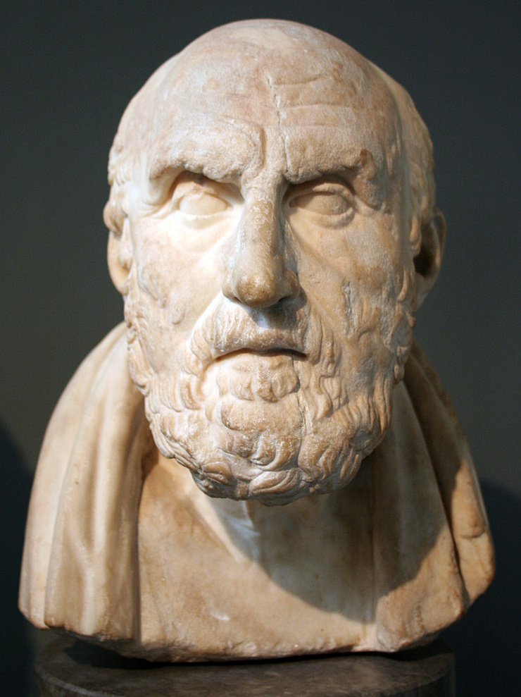 Chrysippus image