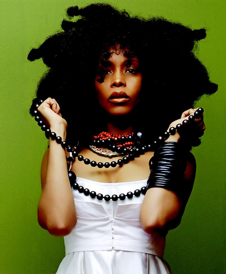 Picture of Erykah Badu