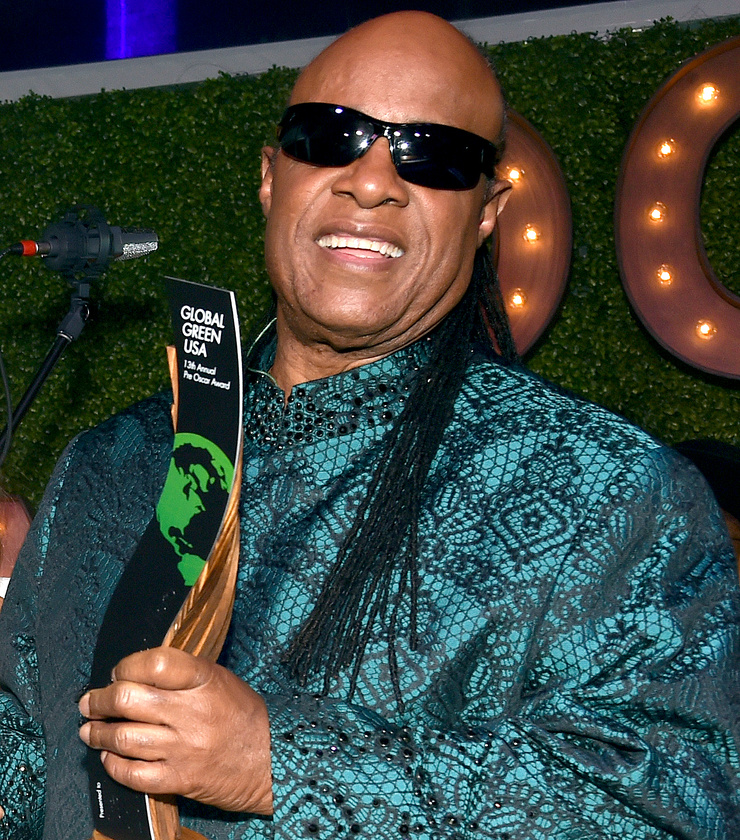 Picture of Stevie Wonder