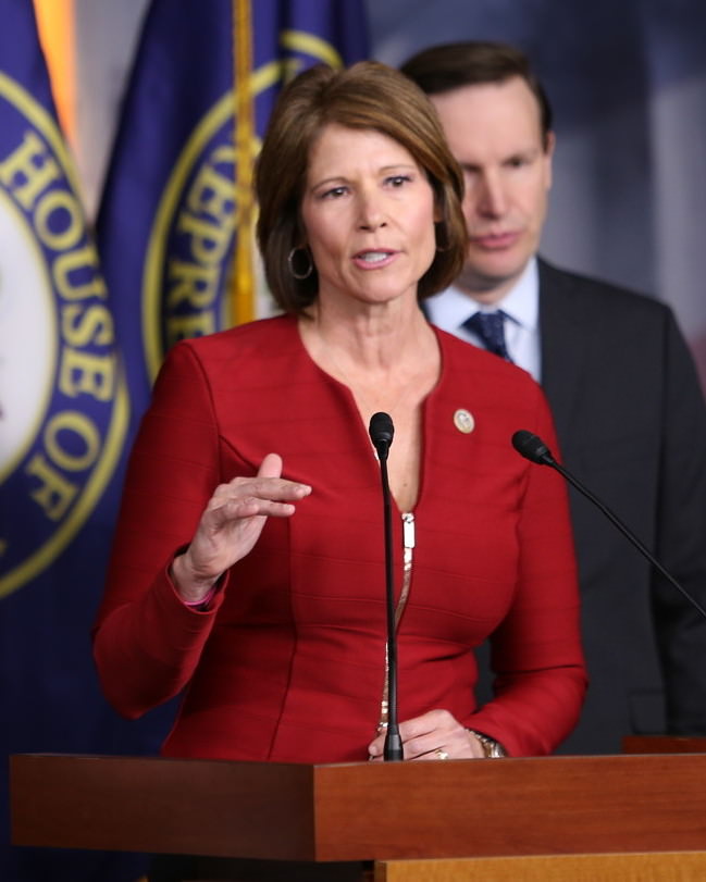 Picture of Cheri Bustos