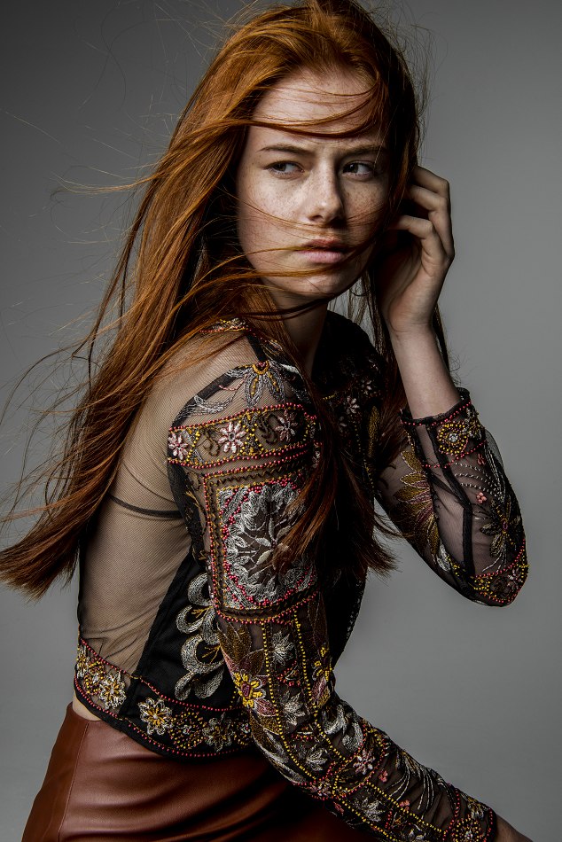 Taylor Lovelace image