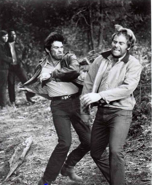 Picture of The Devil's 8