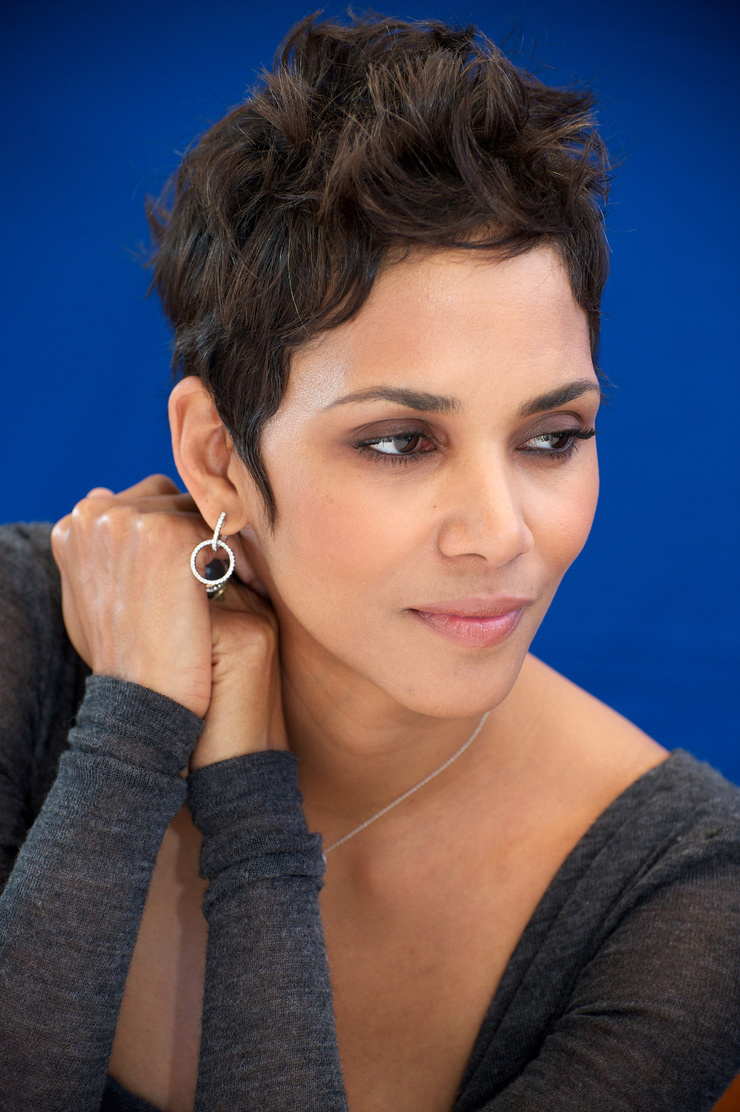 Picture of Halle Berry