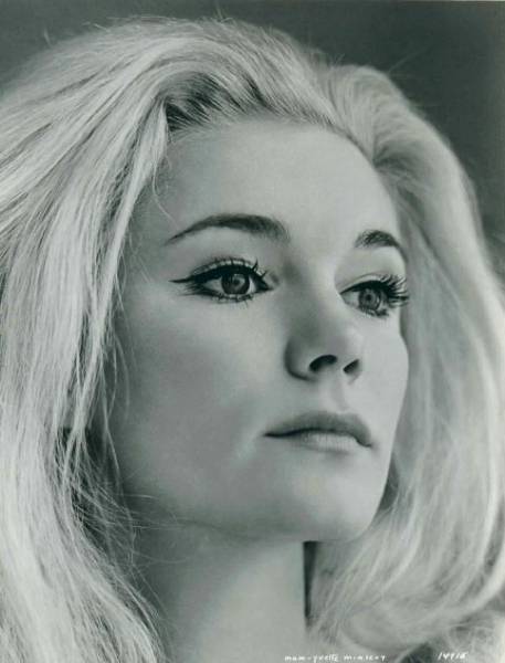 Image of Yvette Mimieux