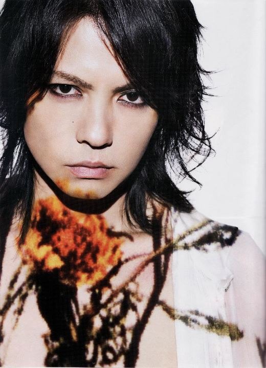 Picture of Hyde
