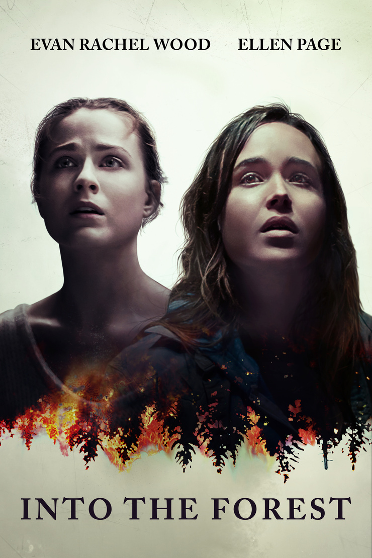 Picture of Into the Forest