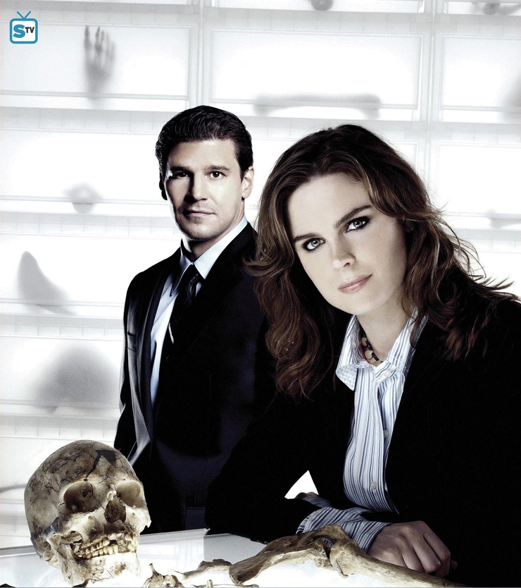 Picture of Bones
