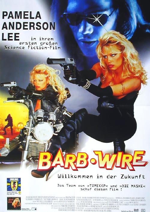 Picture of Barb Wire