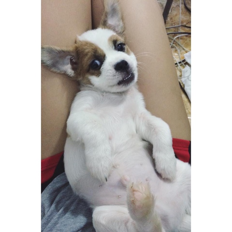 Picture of Le Thanh Thao