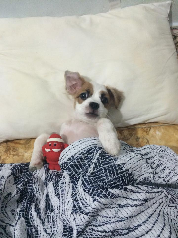 Image of Le Thanh Thao