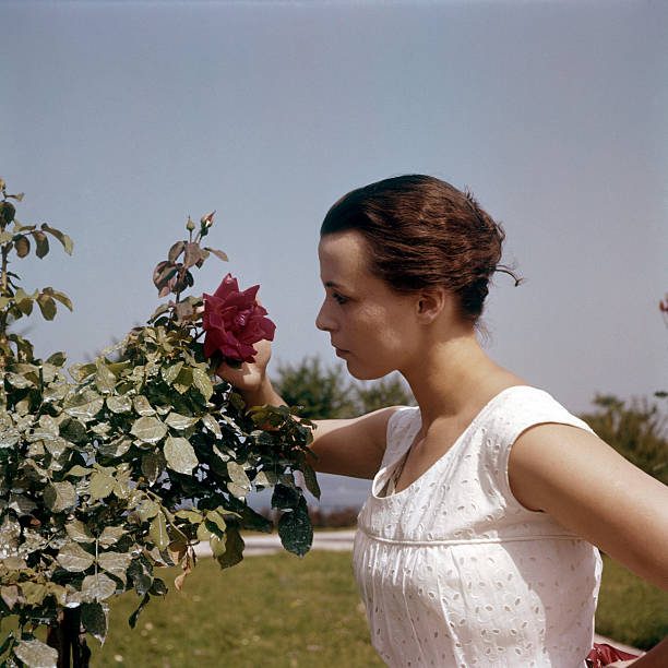 Picture of Claire Bloom