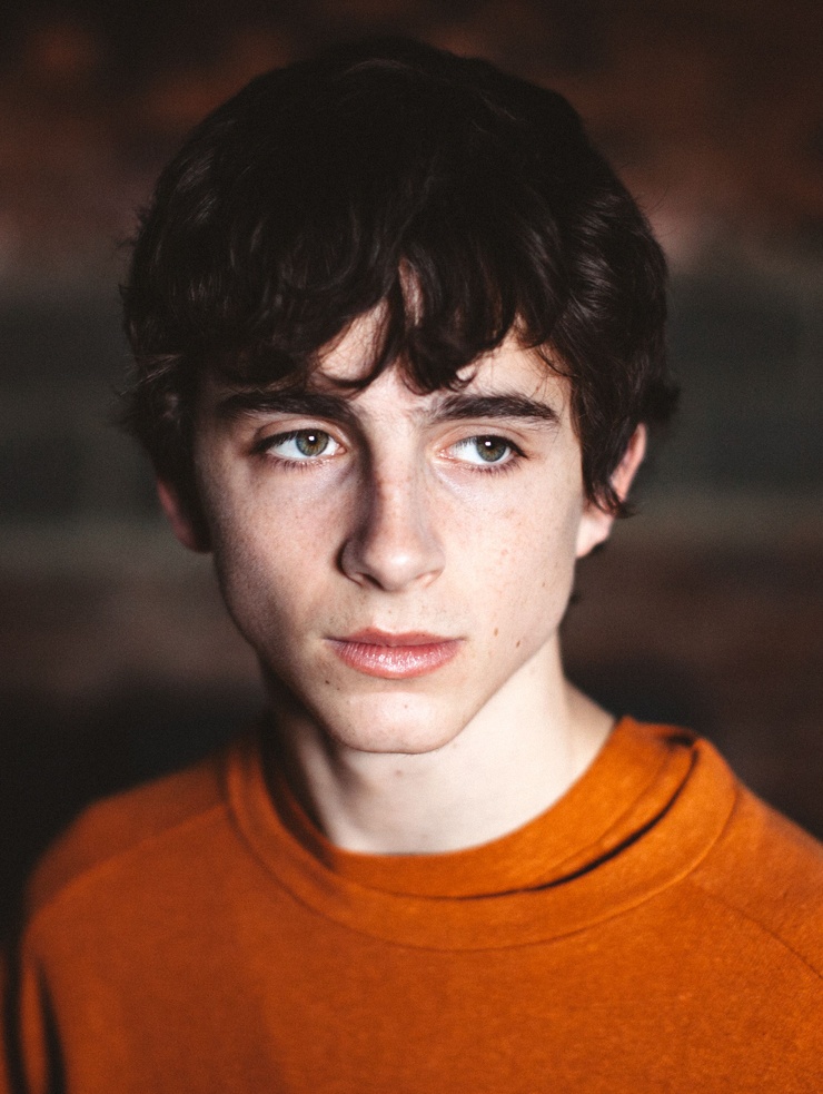 Picture of Timothée Chalamet