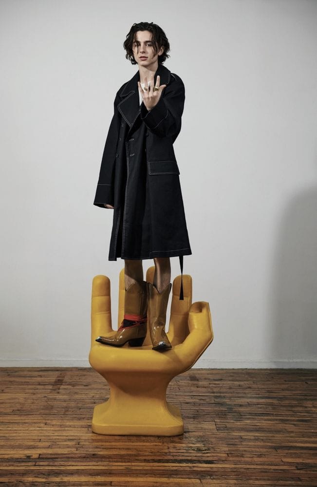 Picture of Timothée Chalamet