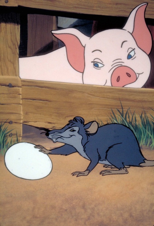 Picture of Charlotte's Web