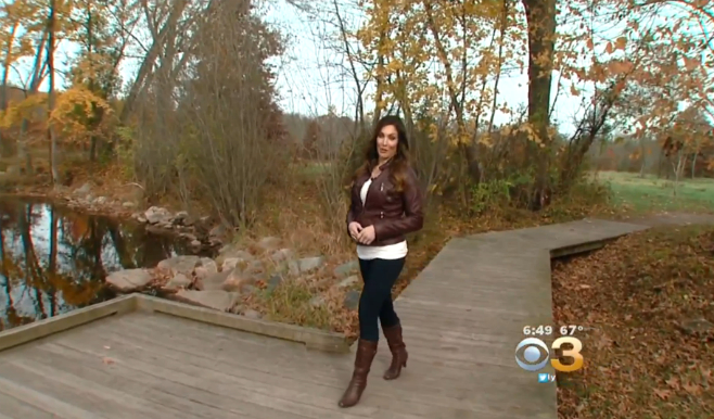 Picture of Meisha Johnson