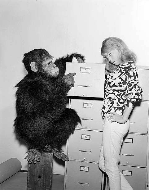 Janos Prohaska, Jill Haworth