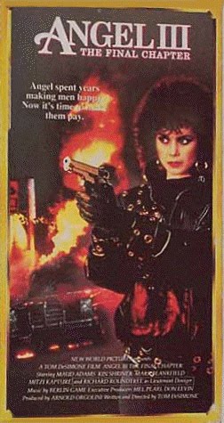 Picture of Angel III: The Final Chapter