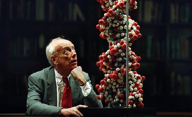 Picture of James D. Watson