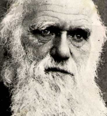 Picture of Charles Darwin