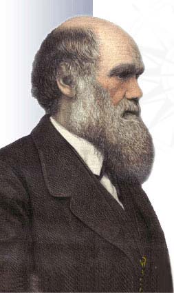 Picture of Charles Darwin