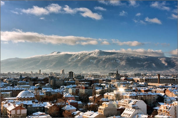 Picture of Sofia