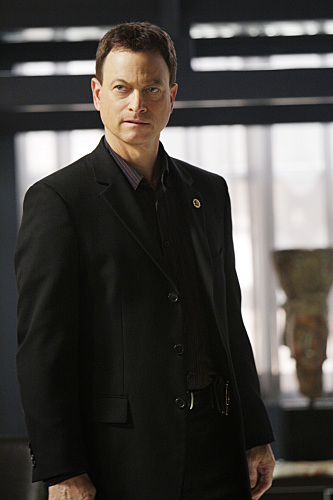 CSI: NY image