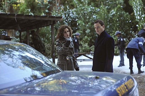 Picture of CSI: NY