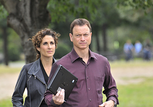 CSI: NY image